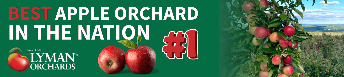 Apple Picking in CT | Pick Your Own Apple Orchard | Lyman Orchards
