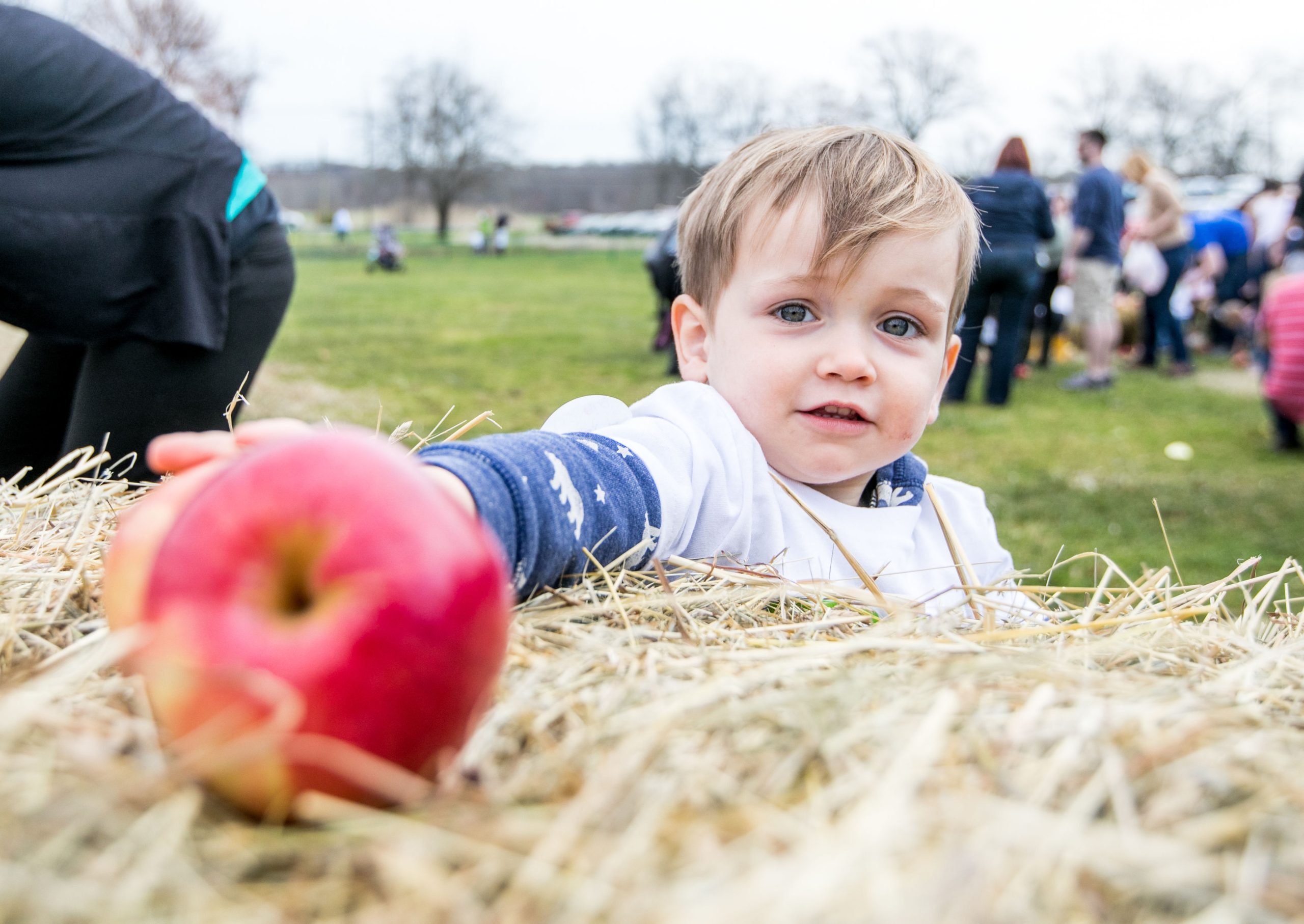 Apples & A Fun Way to Enjoy Them This Spring! | Lyman Orchards