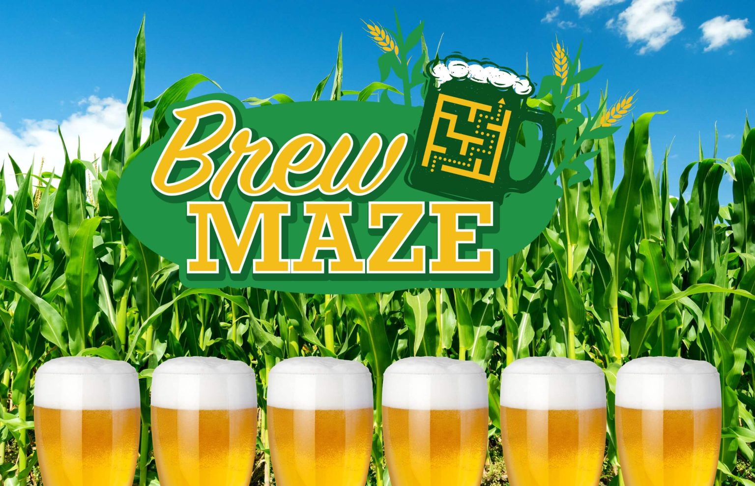 Brew Maze at Lyman Orchards Corn Maze | Lyman Orchards