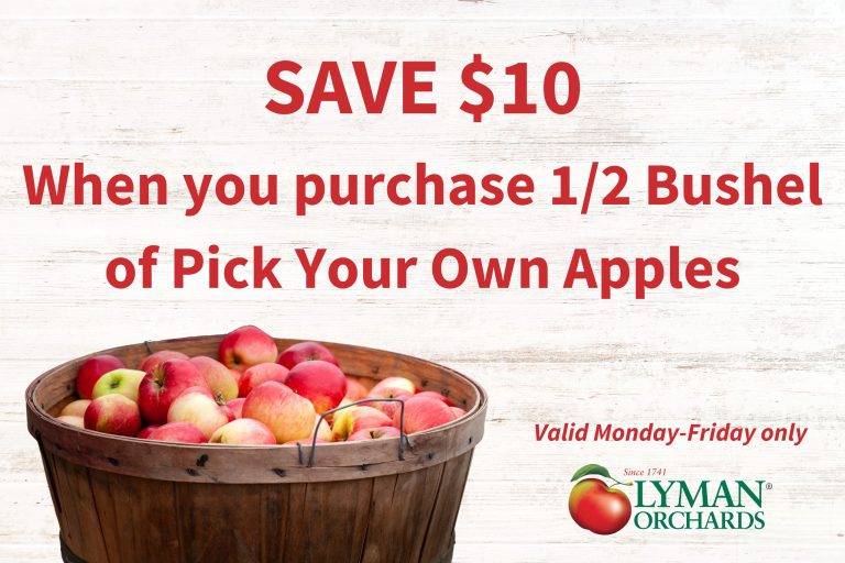 Apple Orchard Middlefield, Connecticut | Lyman Orchards