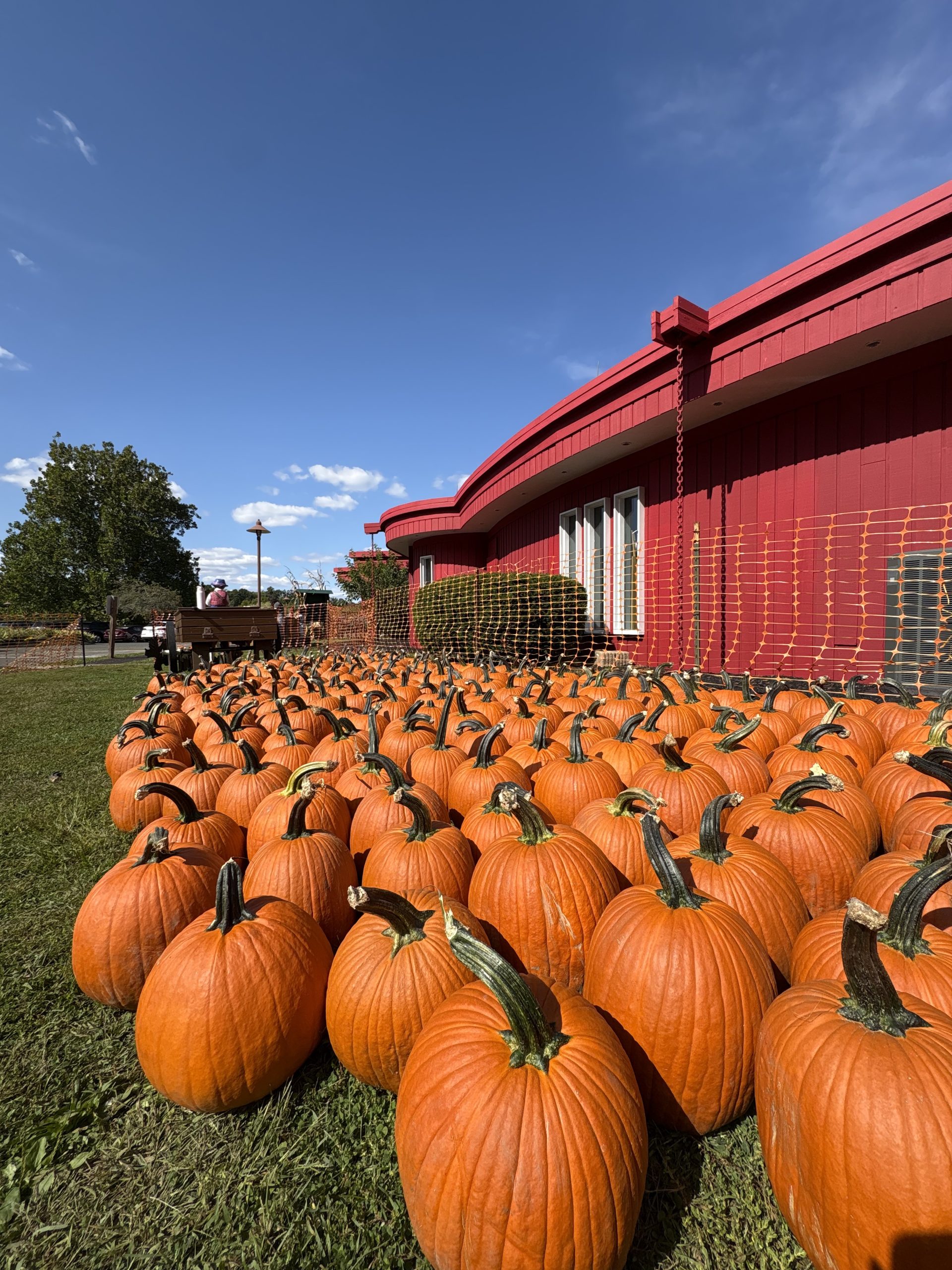 Apple Barrel Farm Market Pumpkin Patch | Lyman Orchards