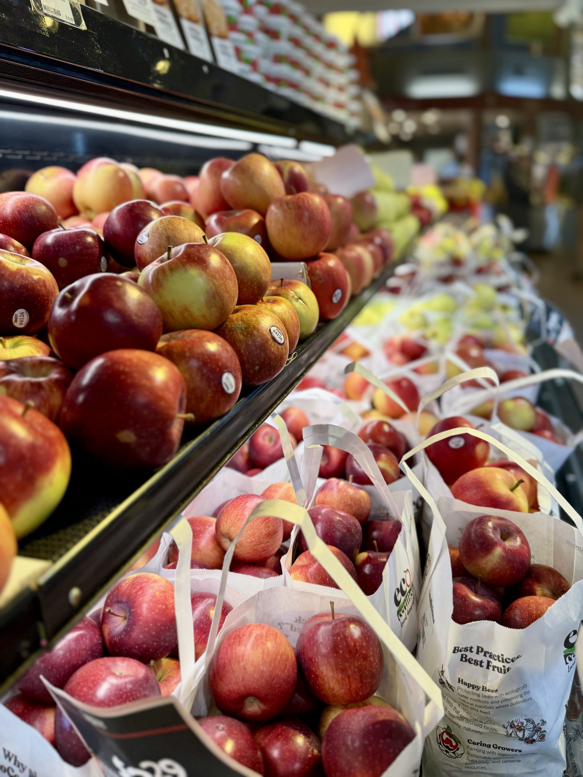 How Lyman Orchards Keeps Apples Fresh All Year | Lyman Orchards